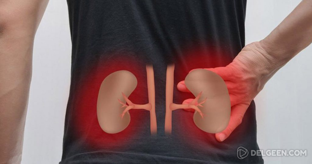 Бөөрнийхөө үйл ажиллагааг дэмжиж эрүүл байлгахад туслах 6 арга Эдгээр