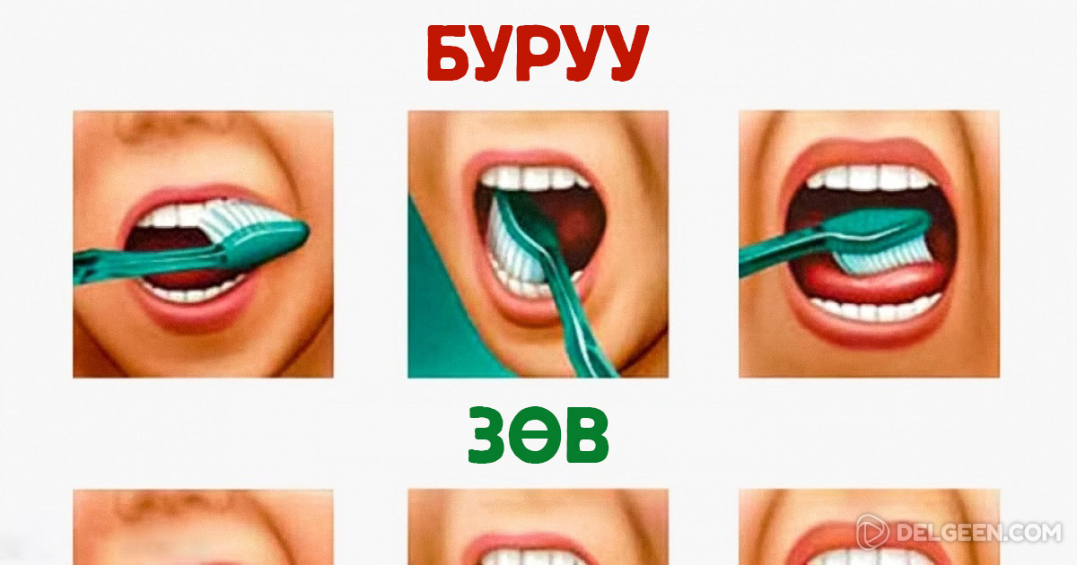 10 хүн тутмын 9 нь шүдээ угаахдаа гаргадаг хамгийн нийтлэг 8 алдаа